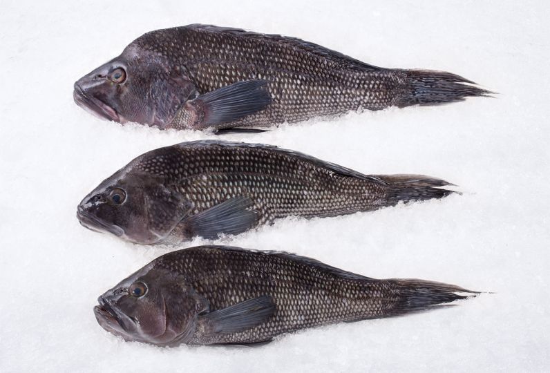 Black Sea Bass, Whole Fish | Citarella