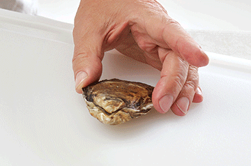 Tips on How to Build Your Own Raw Bar